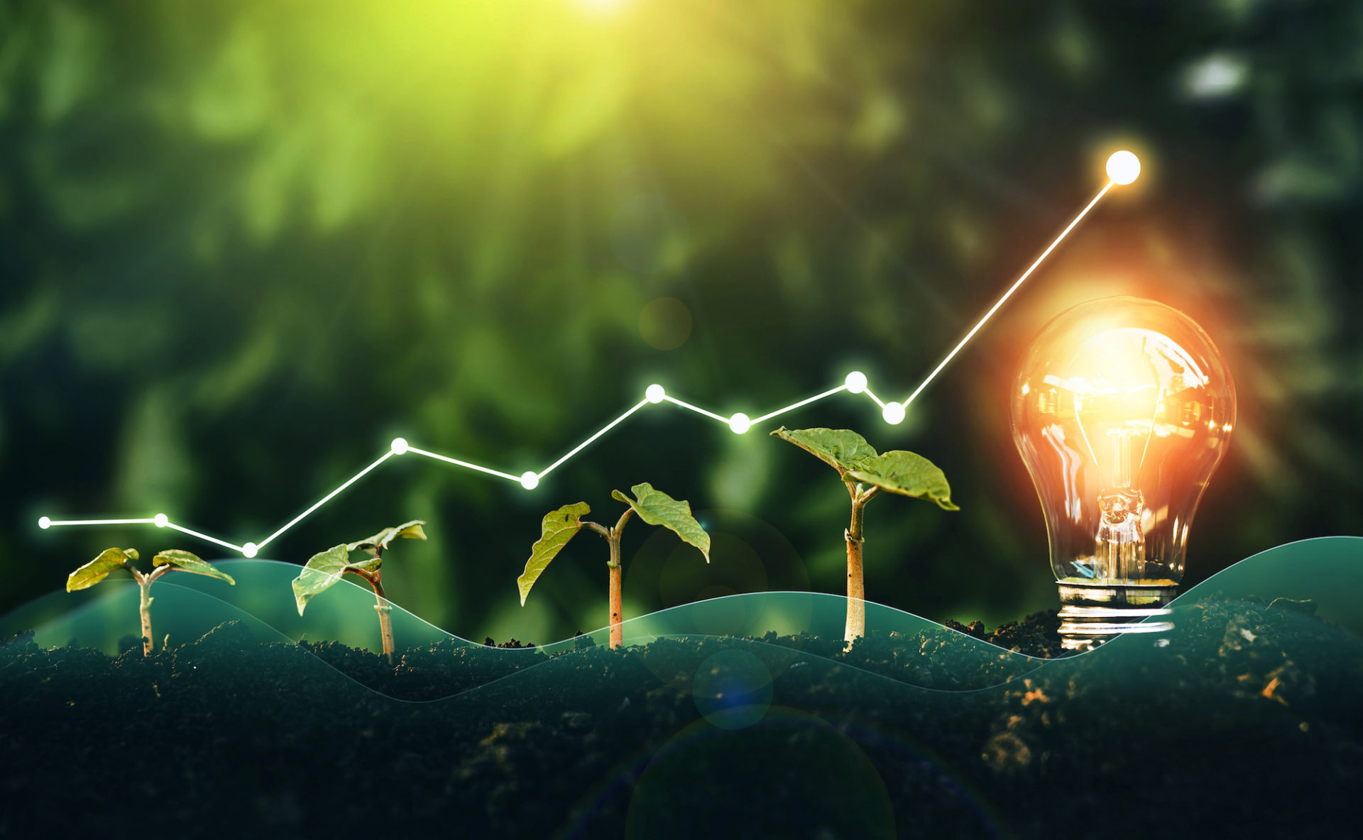 Fueling Sustainable Growth Through Effective PFM - FreeBalance